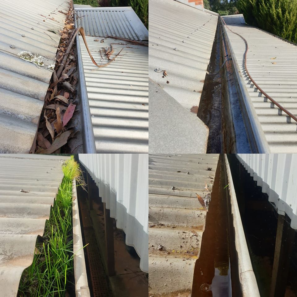Gutter Cleaning • ASAP Window Cleaning & Maintenance